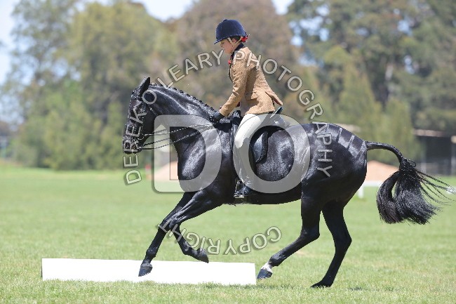 OTT & Owner Rider Show 2022 - 2022 Events - Derek O'Leary Photography