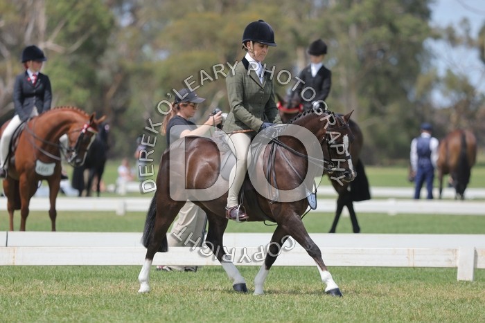 SHCV HOTY 2025 - 2025 Events - Derek O'Leary Photography